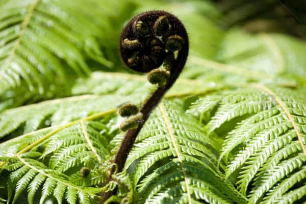 Michael Edward Brady Funeral Notice | Funeral Directors Wellington, Gee ...